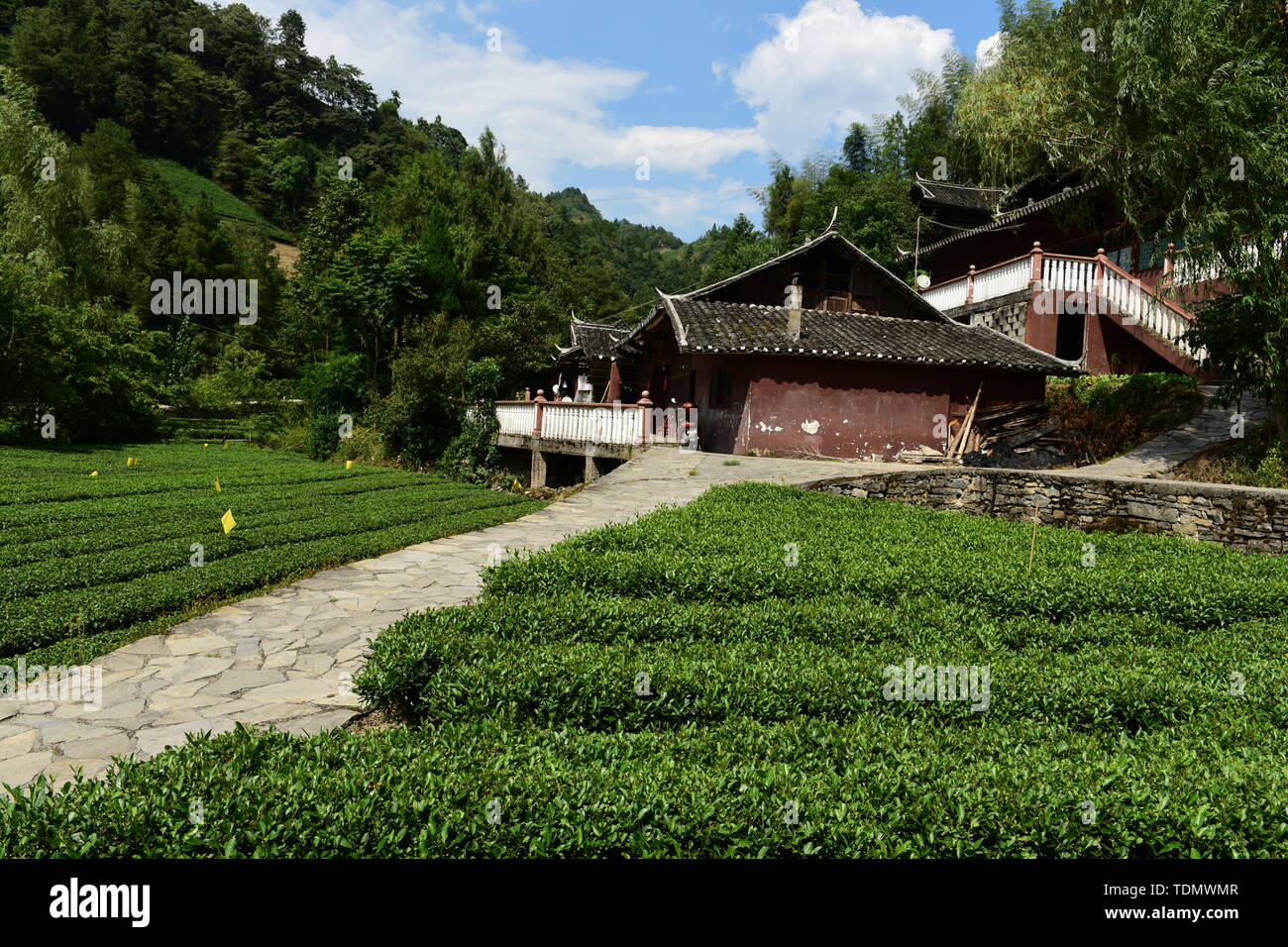 Tang family yard hi-res stock photography and images - Alamy