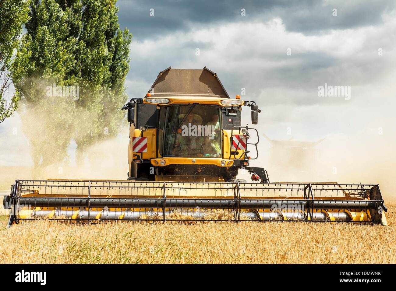 Combine harvester at the grain harvest, Saxony, Germany Stock Photo - Alamy
