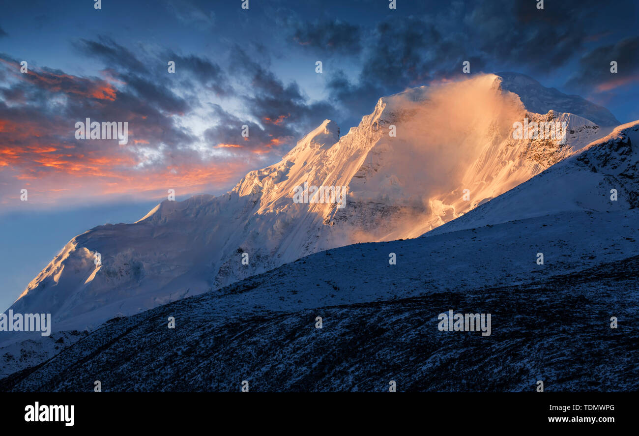 Sapu sapu hi-res stock photography and images - Alamy