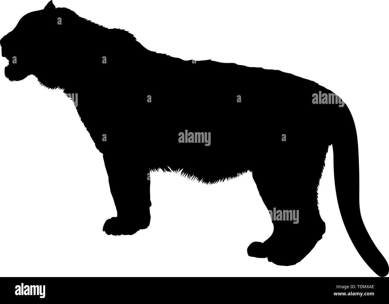 Tiger Silhouette. Highly Detailed Smooth Design. Vector Illustration ...