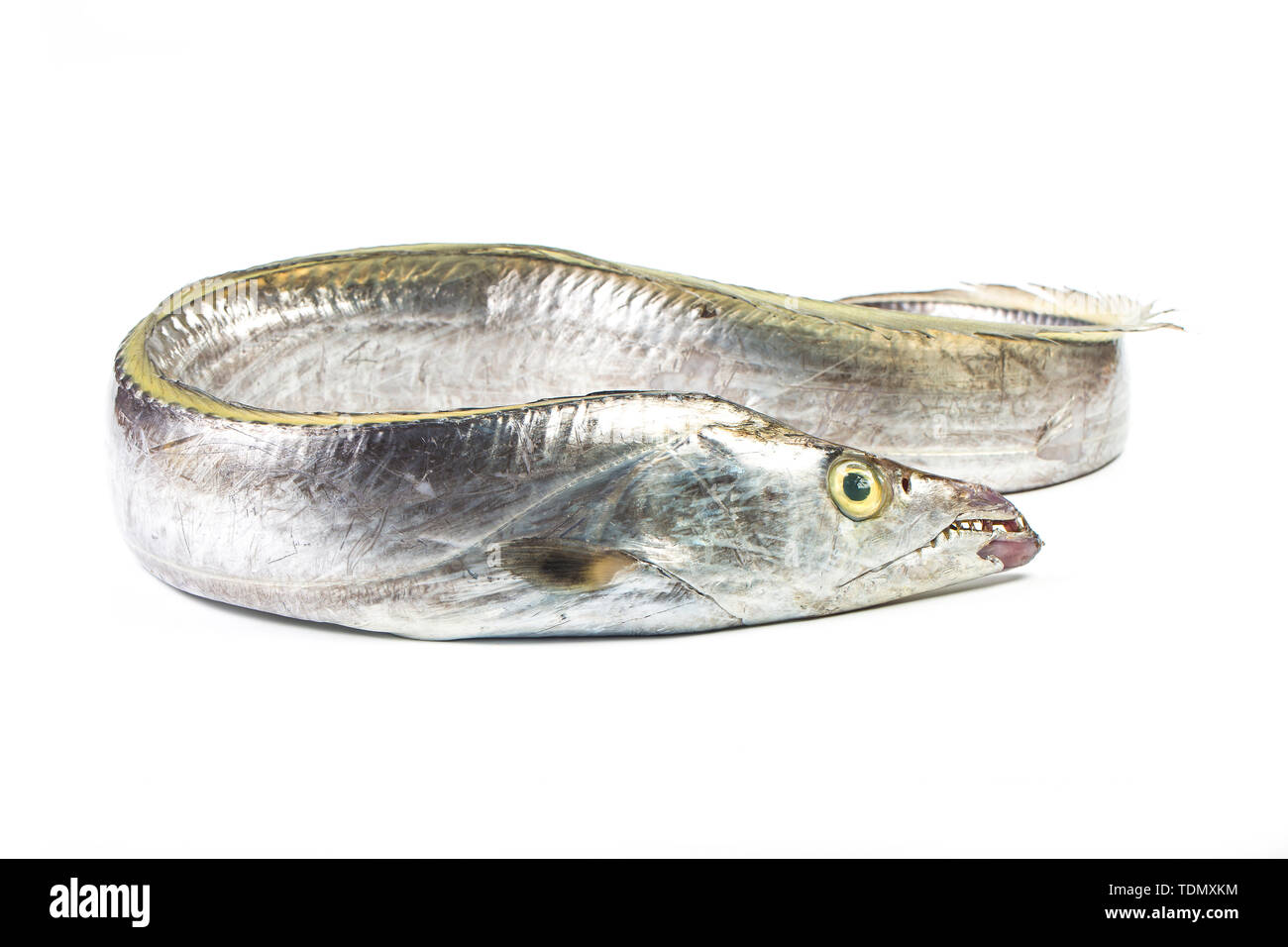 Man carrying fish Cut Out Stock Images & Pictures - Alamy