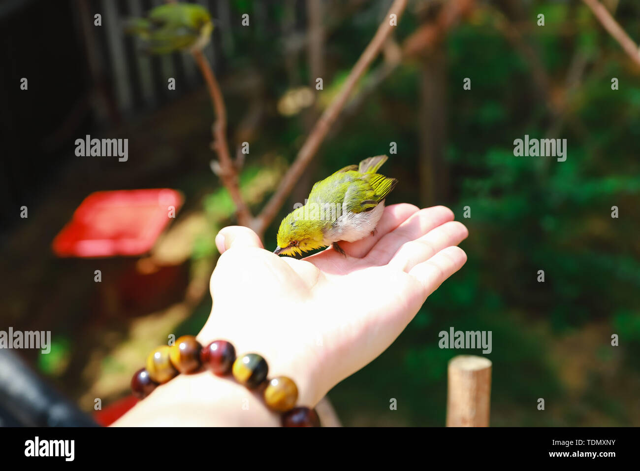 Intimate photos of lovesick interacting with people Stock Photo - Alamy