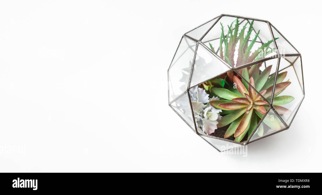 Mini garden in glass florarium, copy space Stock Photo - Alamy