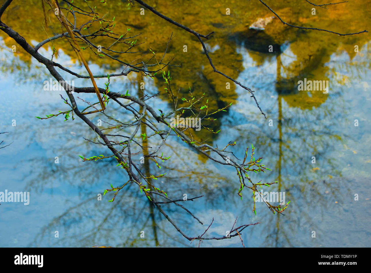 Photographer: Hu Wenkai Stock Photo - Alamy