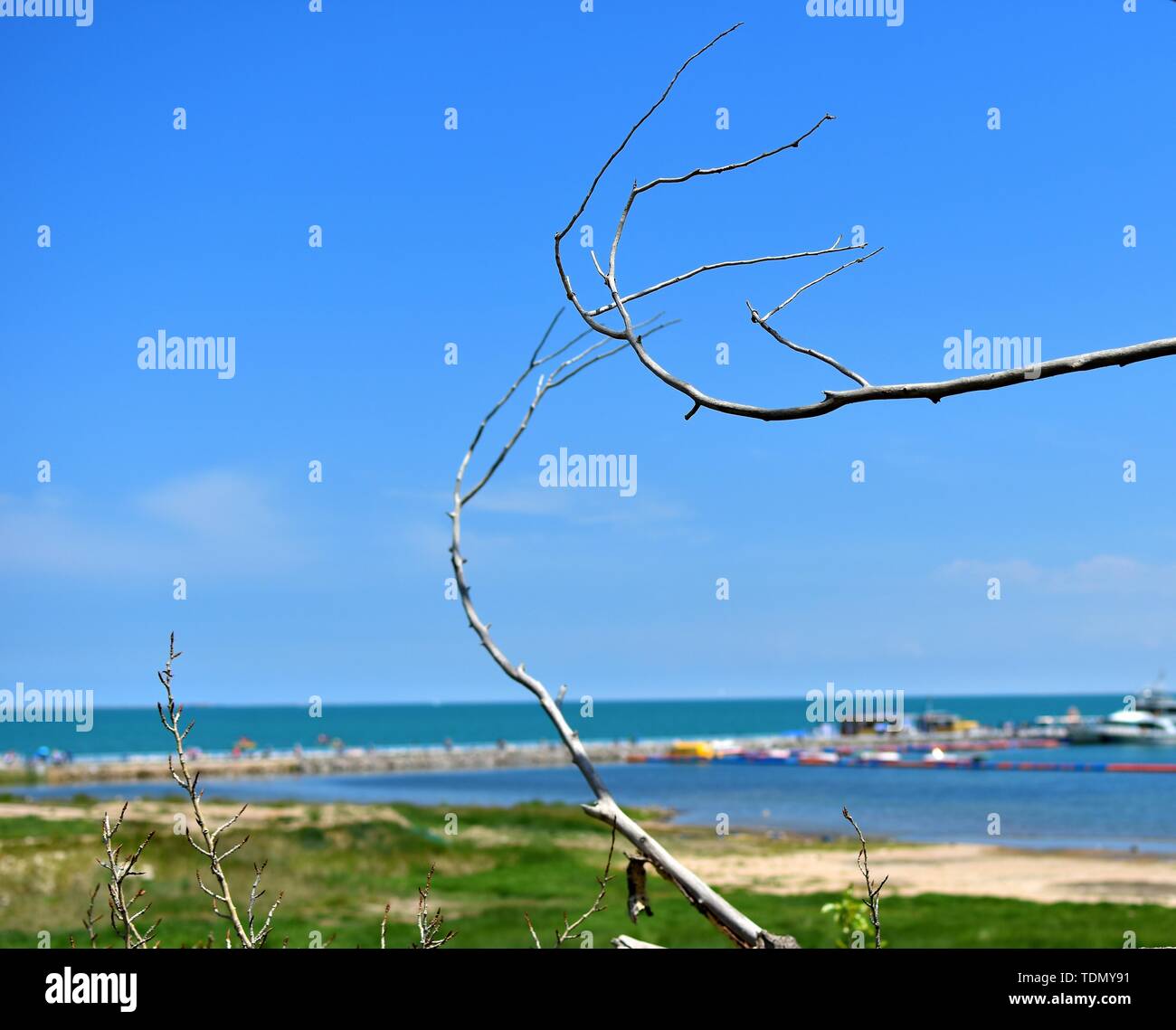 Comfortable weather with trees and sea and ocean outdoor tourism hi-res ...