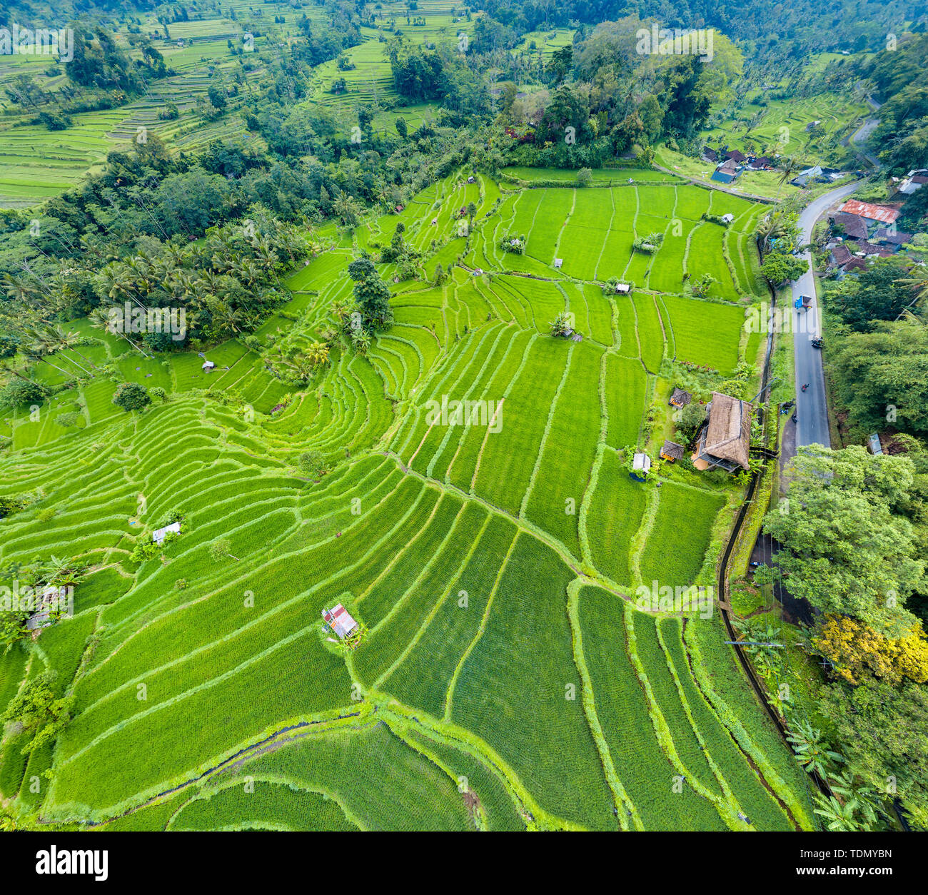 Top down aerial view of rice terraces in Bali, Indonesia Stock Photo ...