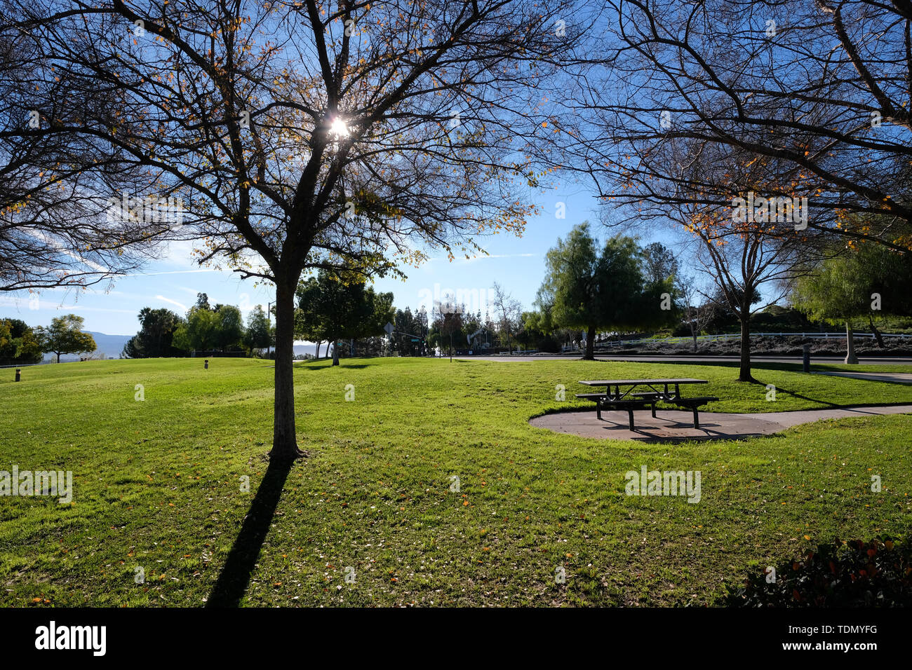 Campus greenery hi-res stock photography and images - Alamy