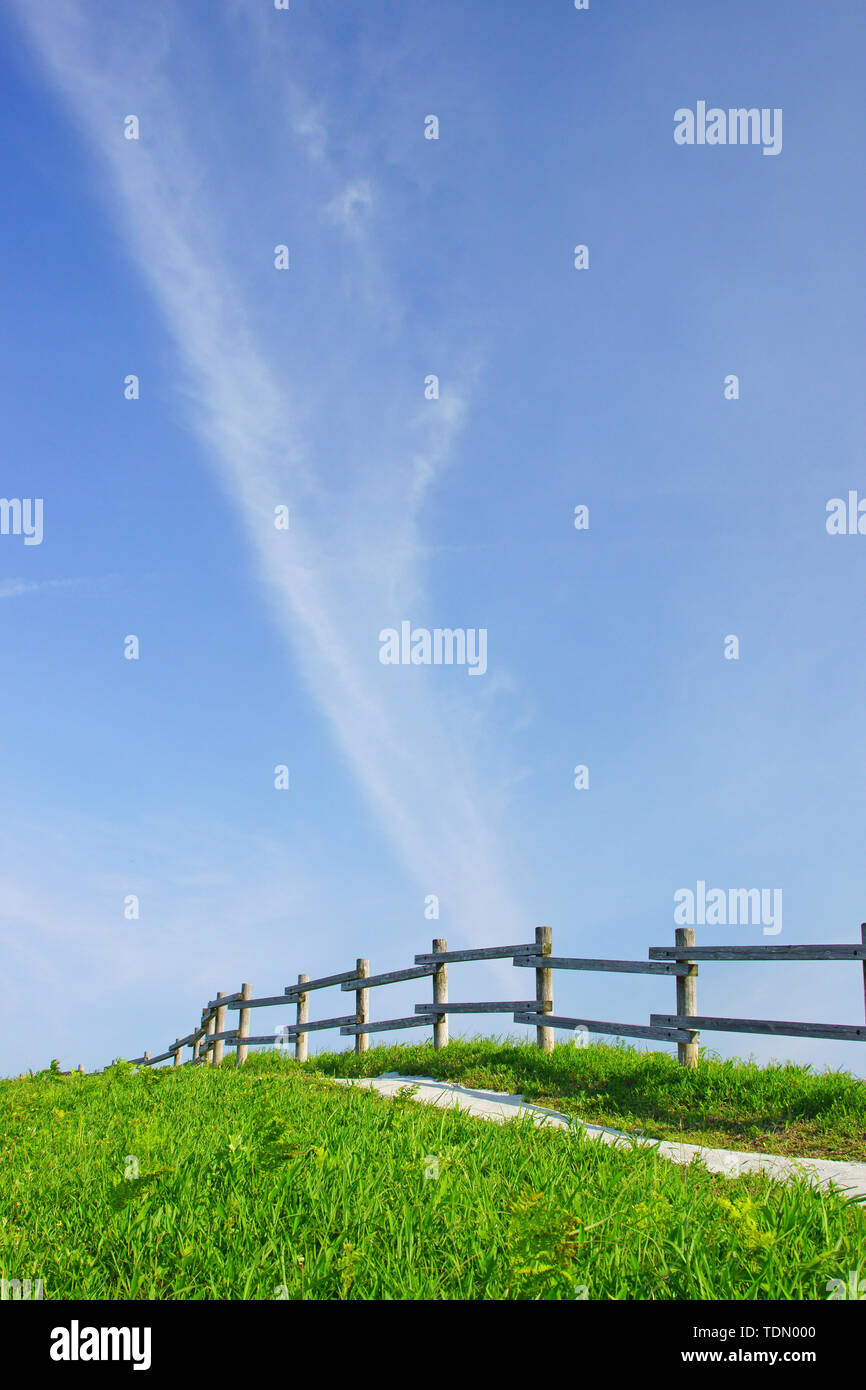 Field in fresh green Stock Photo - Alamy
