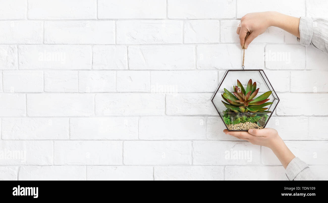 Mini glass florarium in woman's hands, copy space Stock Photo - Alamy