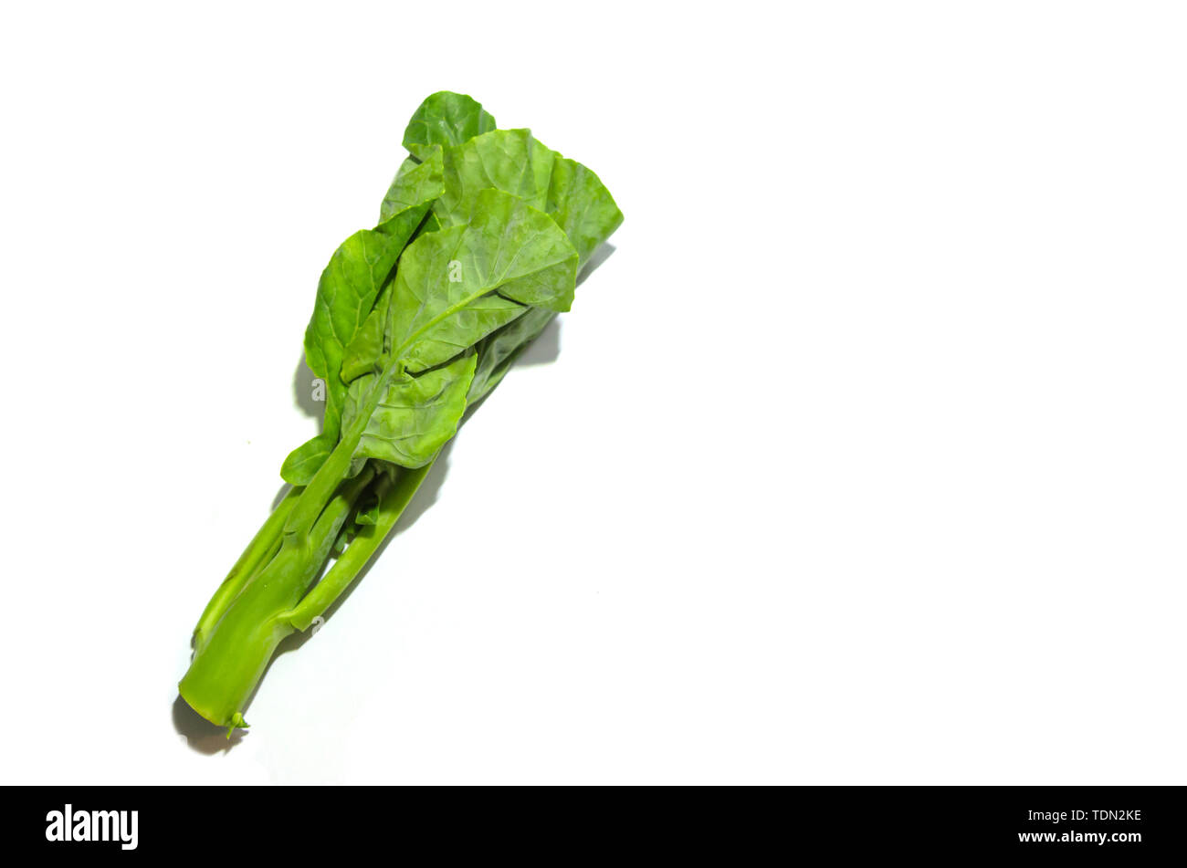 Fresh kale on a white background Stock Photo - Alamy
