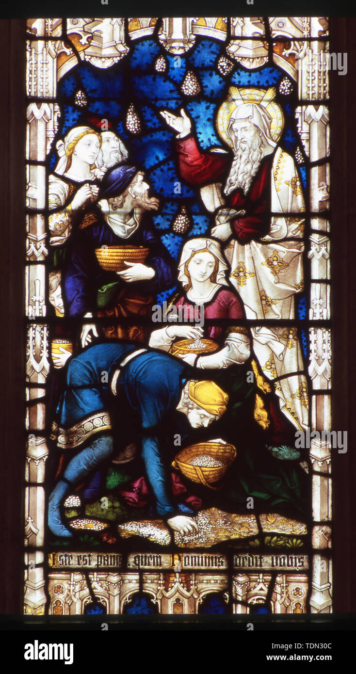 Stained glass window, Moses, Exodus 16:15, St Edmundsbury Cathedral ...