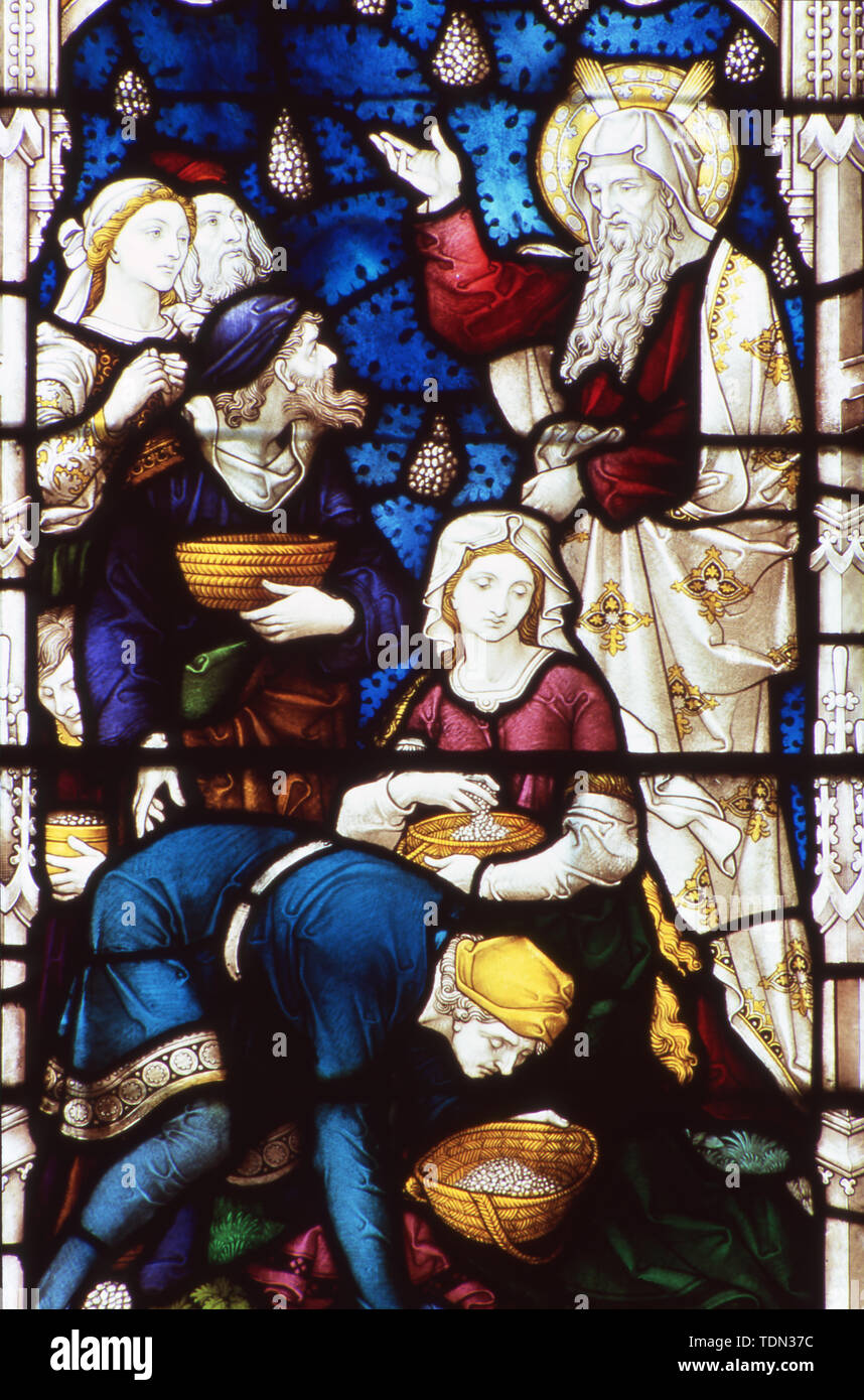 Stained glass window, Moses, Exodus 16:15, St Edmundsbury Cathedral ...