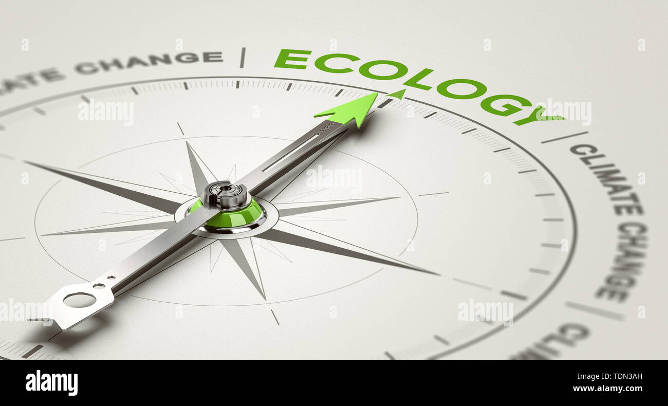 3D illustration of a conceptual compass with needle pointing the word ...