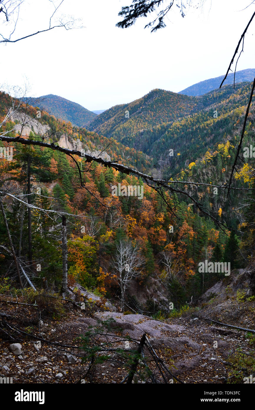 Beauty of nature in the Primorsky region of Russia Stock Photo - Alamy
