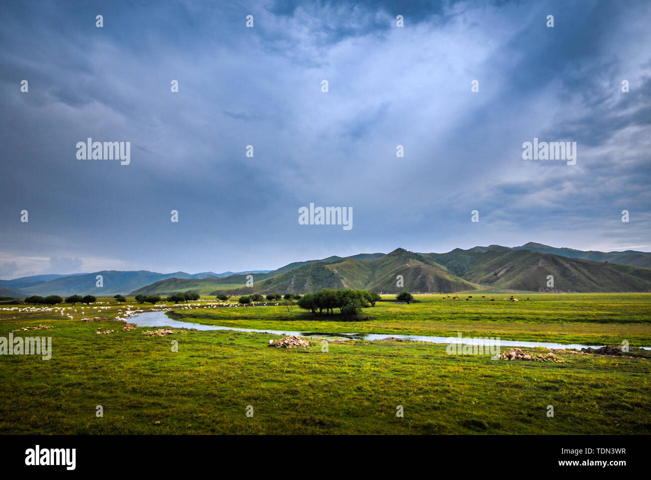 Inner Mongolia Prairie Stock Photo - Alamy