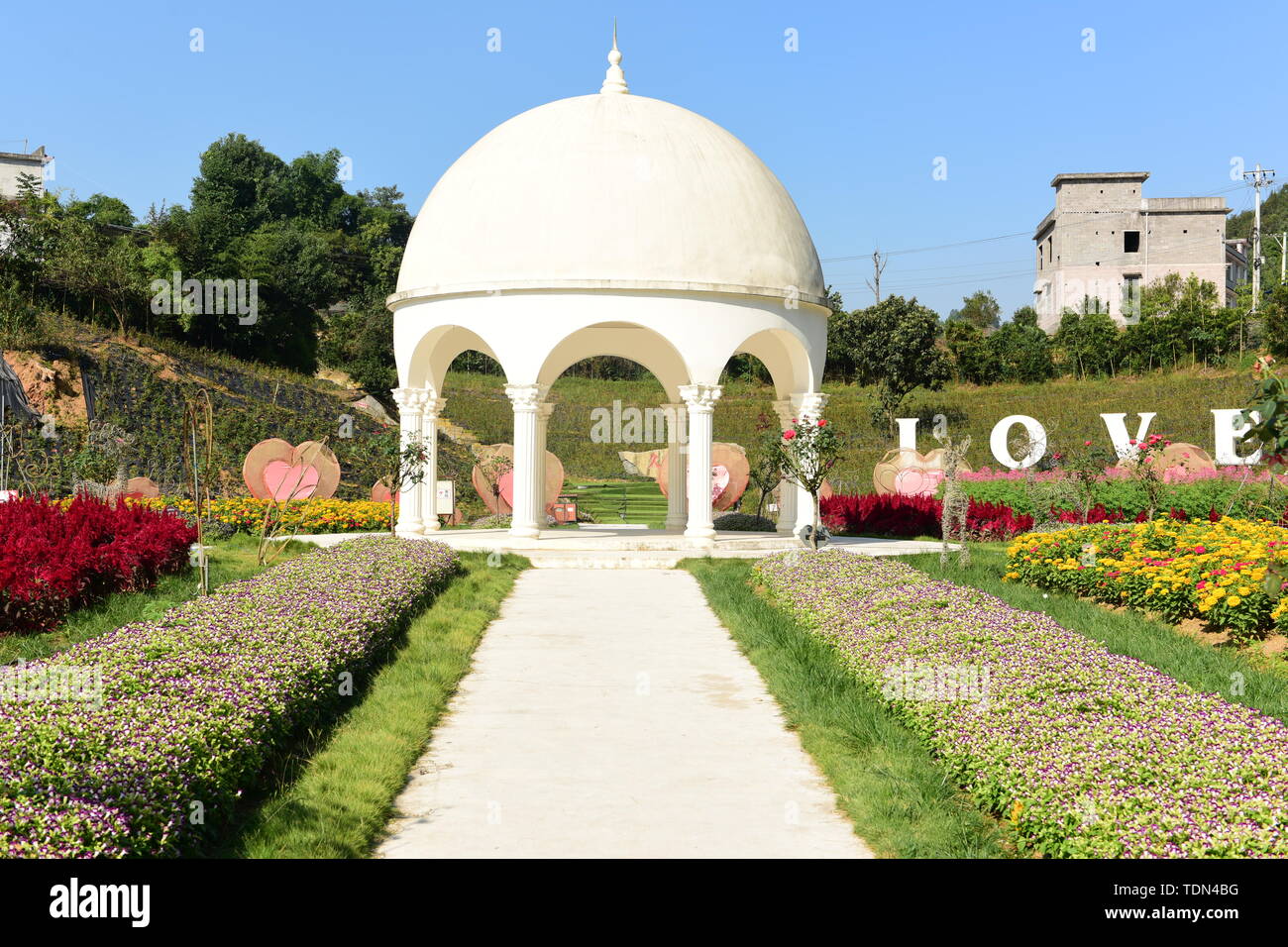 Flower sea scenery Stock Photo - Alamy