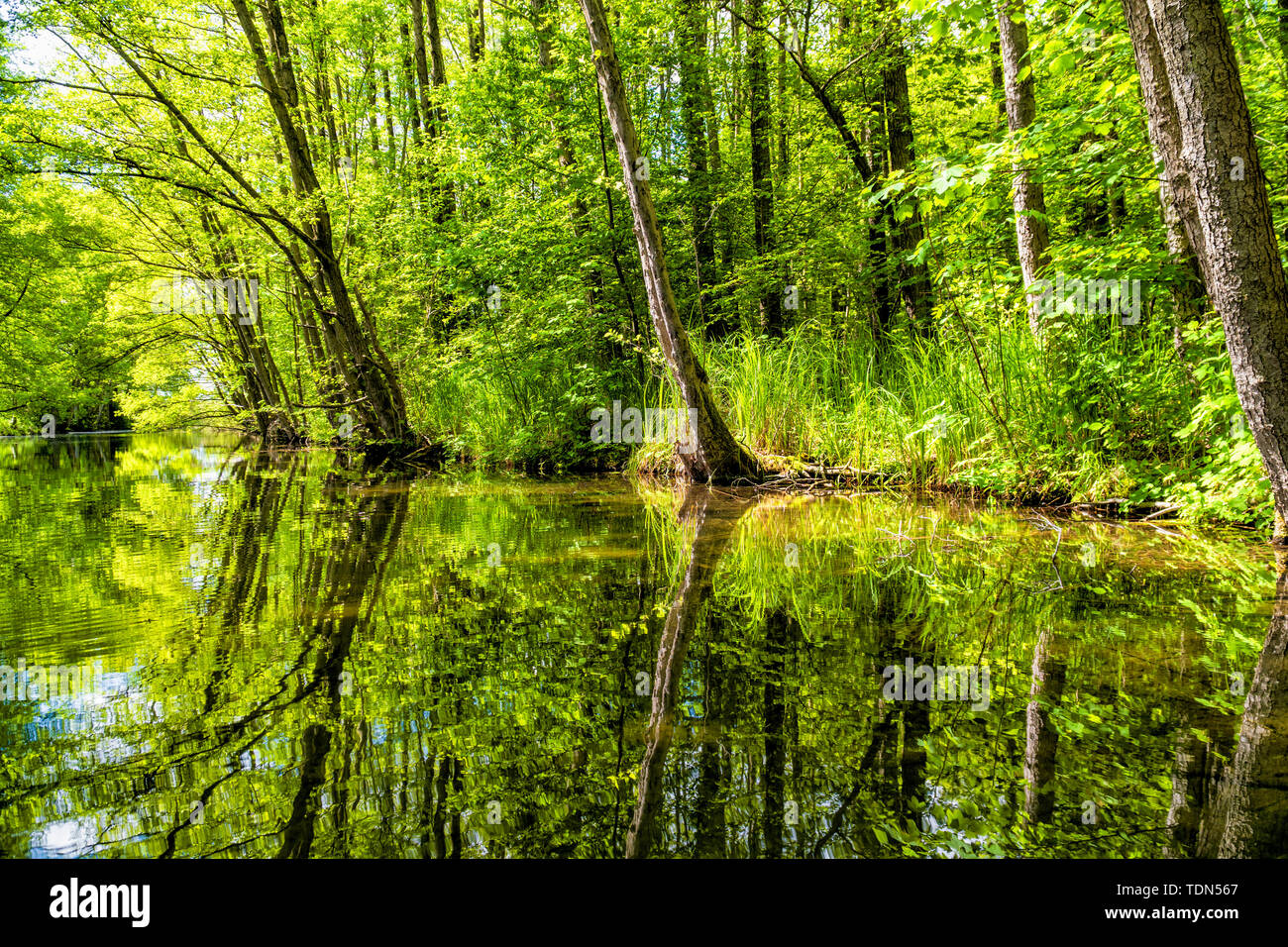 Natural water cycle hi-res stock photography and images - Alamy