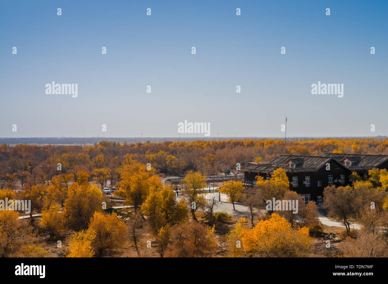 Poplar Lin, lake, reflection, beautiful scenery Stock Photo - Alamy
