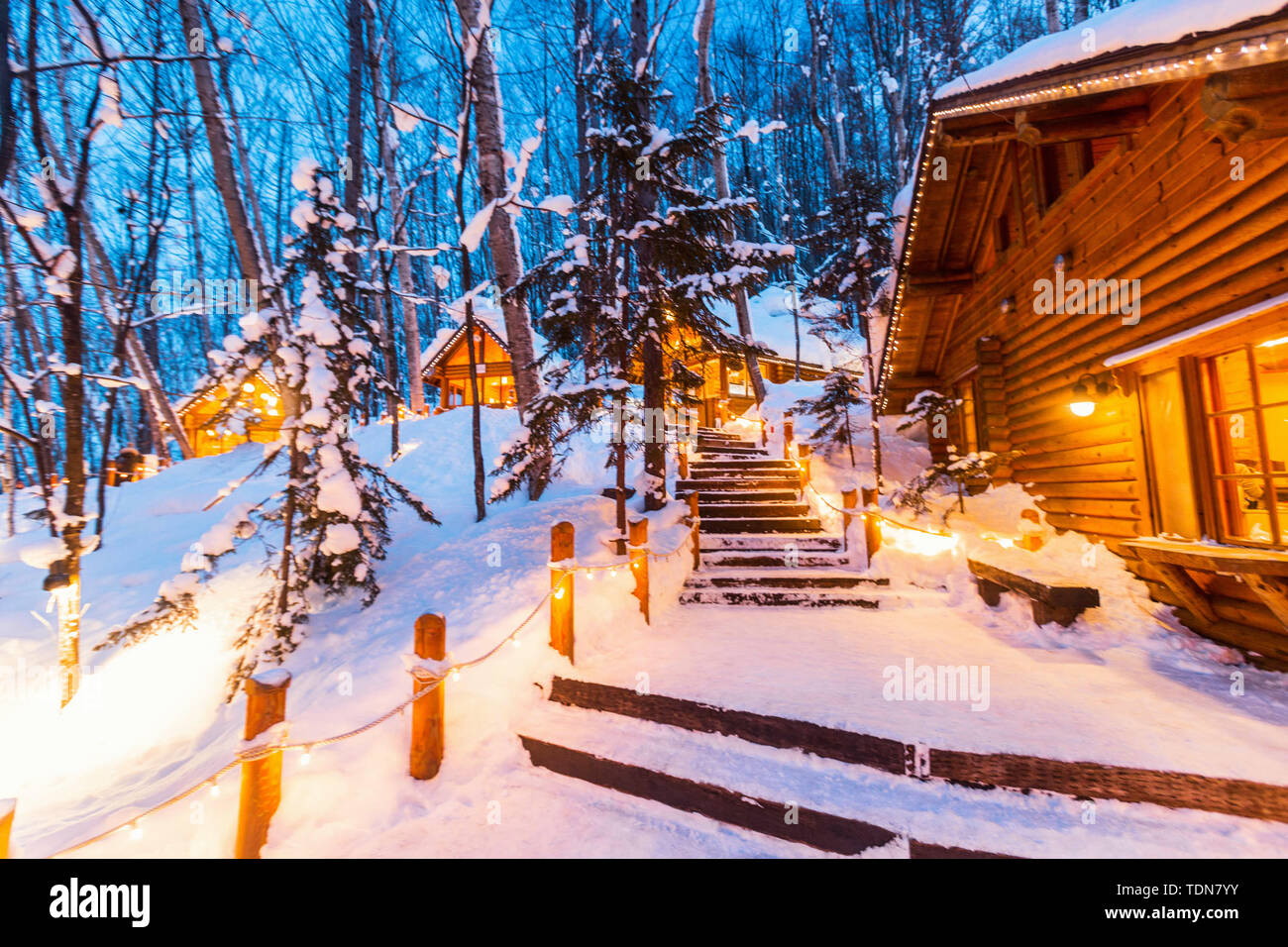 Hokkaido in winter is as pure as a fairy tale, and the forest elf ...
