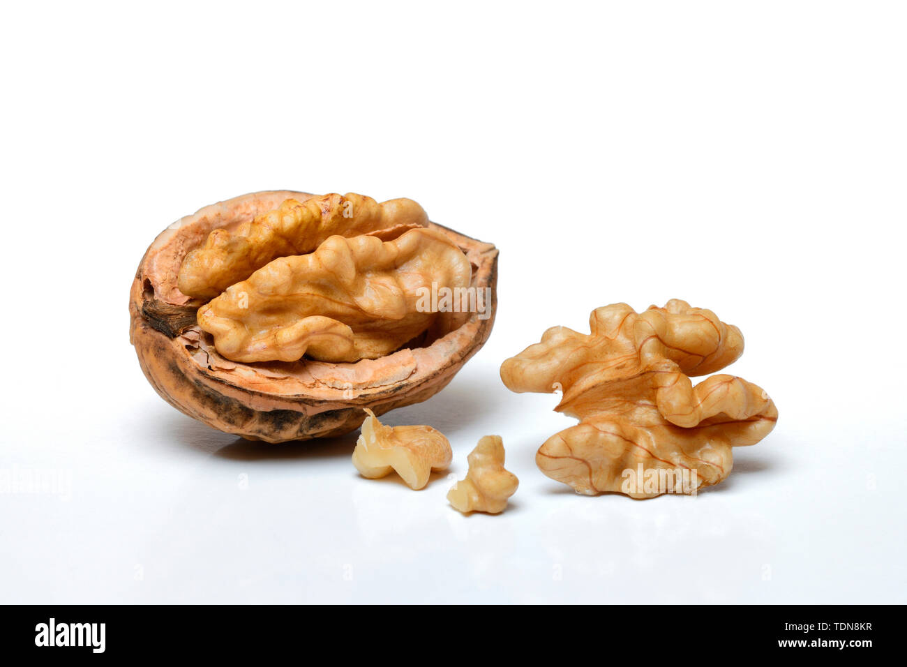 Walnuesse, Juglans regia Stock Photo - Alamy