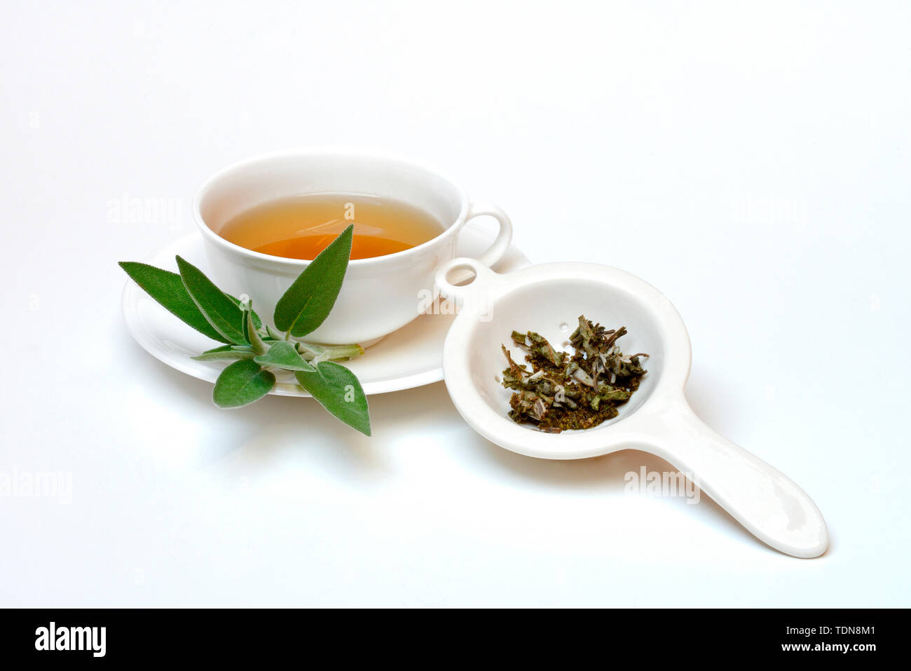 Salbei-Tee, (Salvia officinalis), Salbeitee, Salbeiblaetter, Echter ...