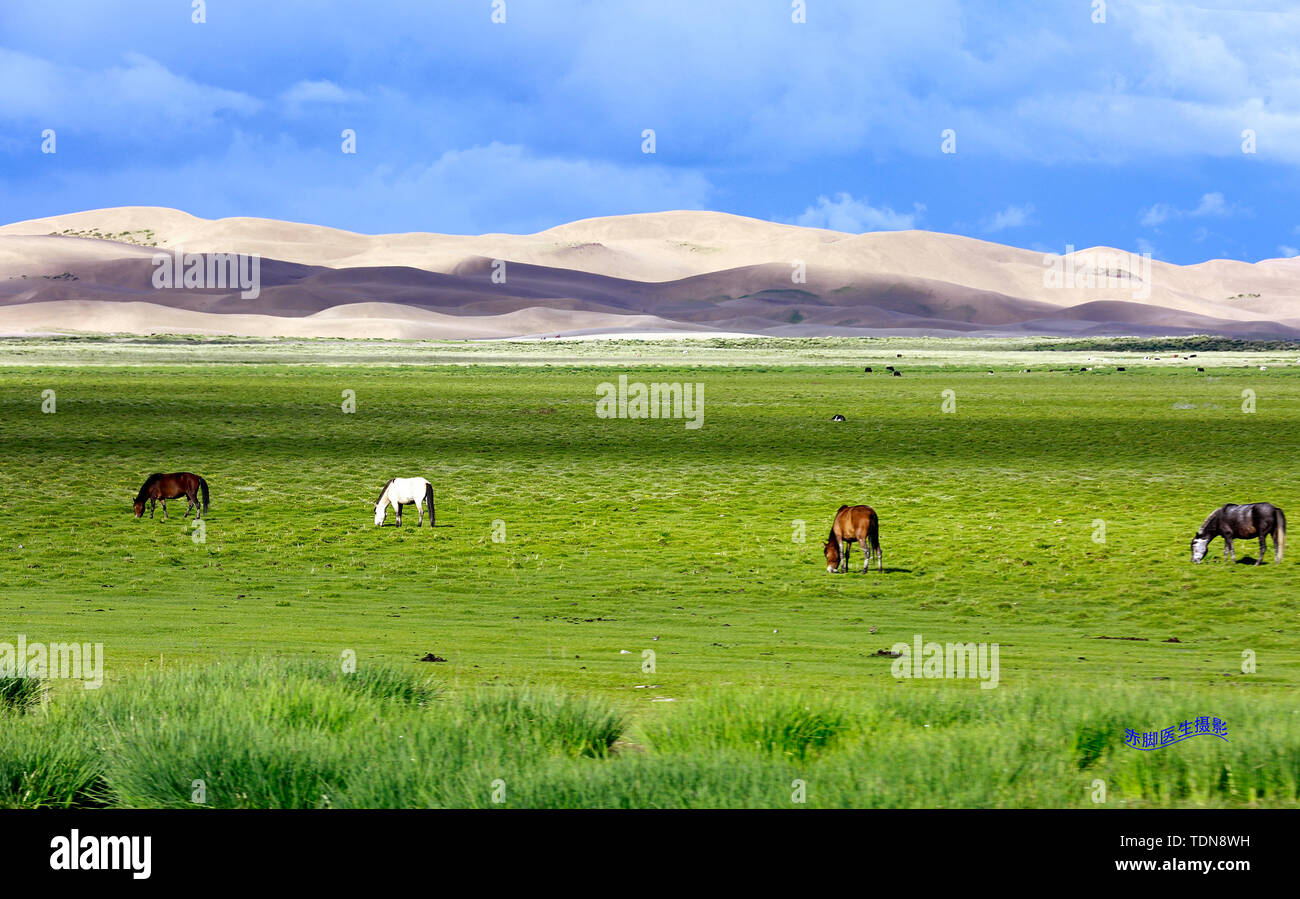 Qinghai desert scenery hi-res stock photography and images - Alamy