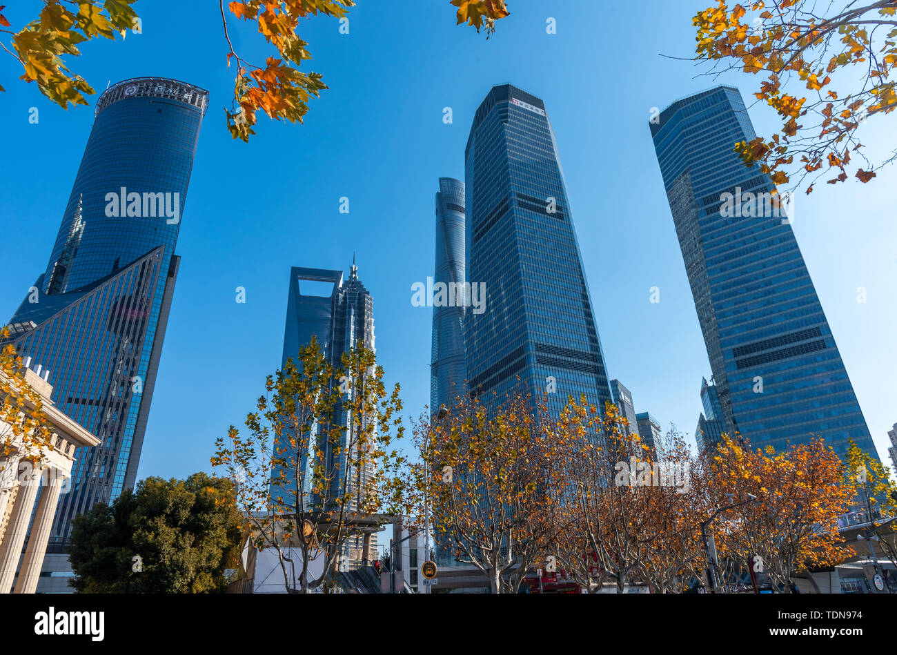 Signature building in Lujiazui Stock Photo - Alamy