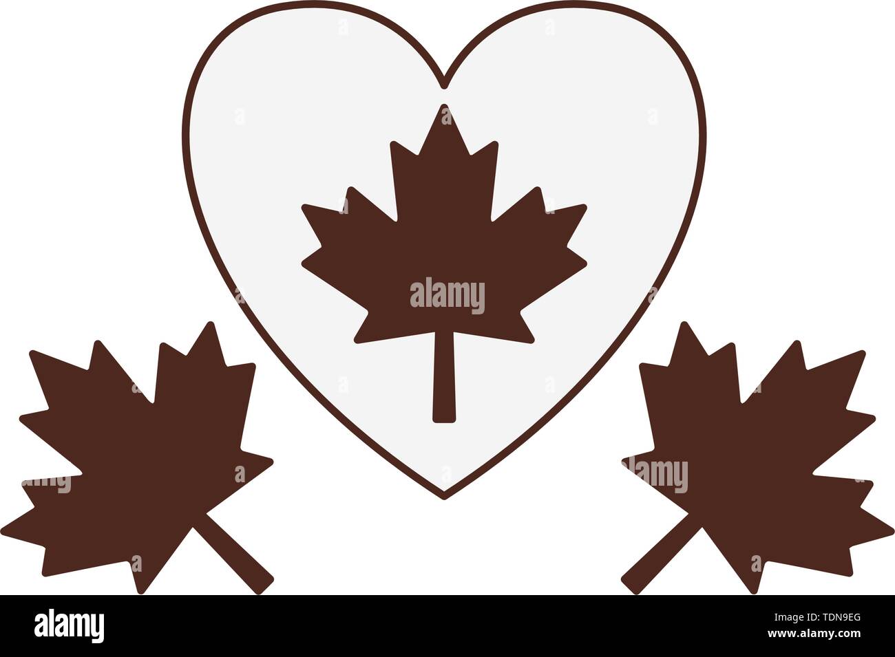 Maple leaf heart and Canada design Stock Vector Image & Art - Alamy