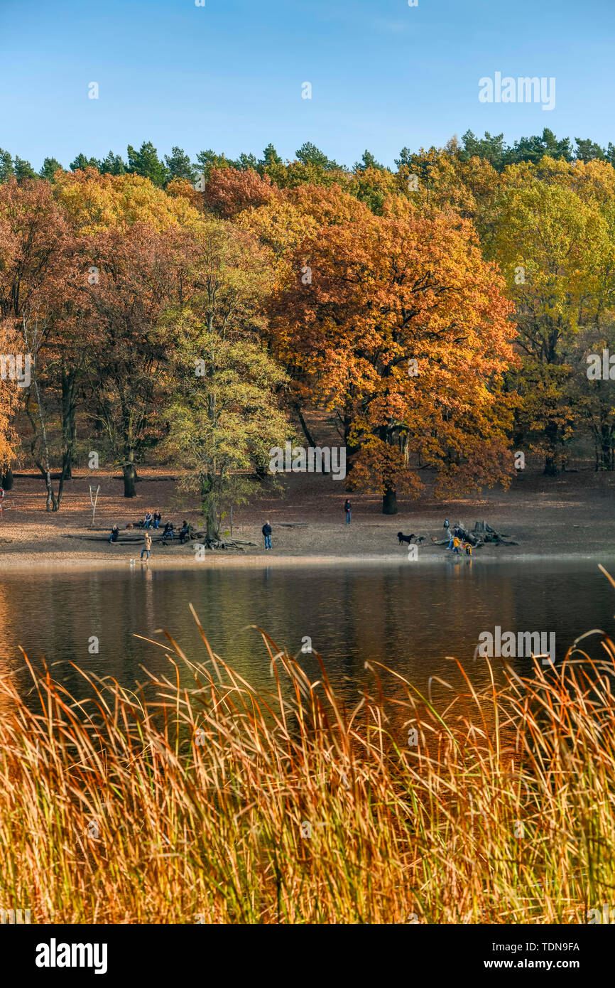 Grunewaldsee, Grunewald, Berlin, Deutschland Stock Photo - Alamy