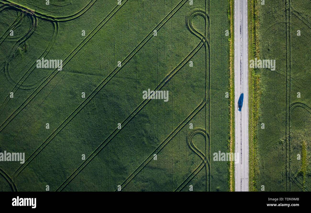 Harvester tracks in a green cereal field, forming patterns. Aerial view ...