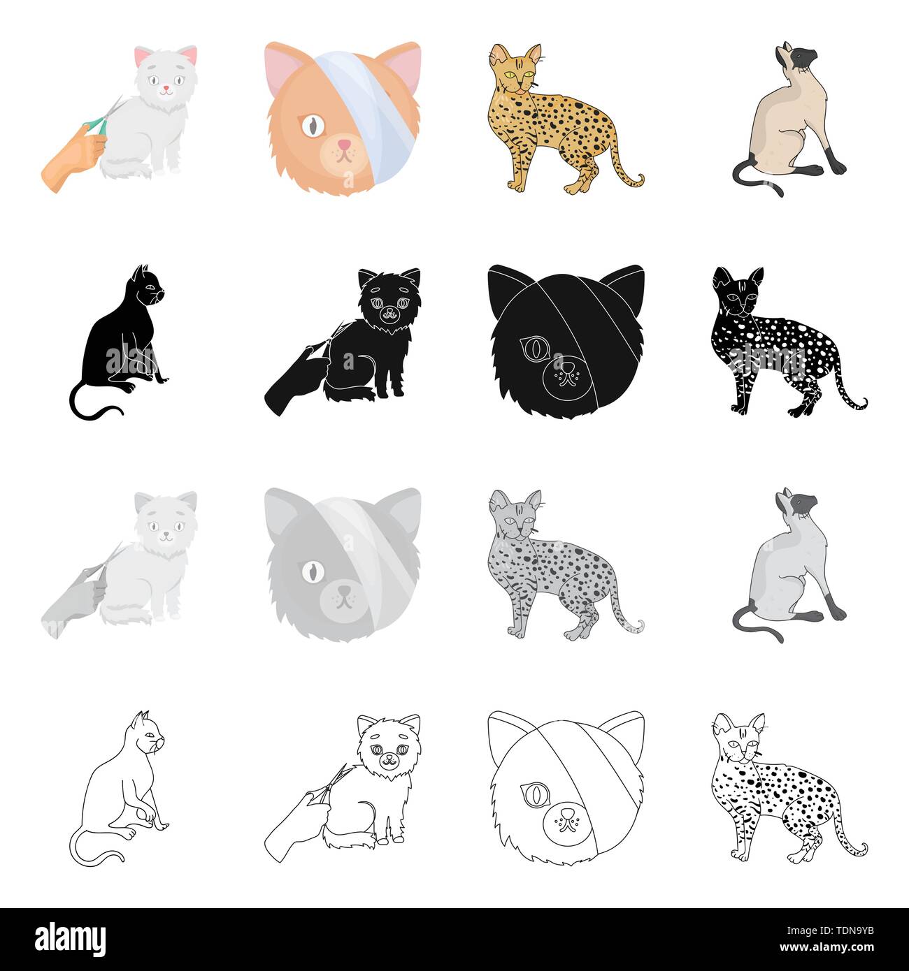 Vector illustration of pet and sphynx symbol. Collection of pet and fun ...