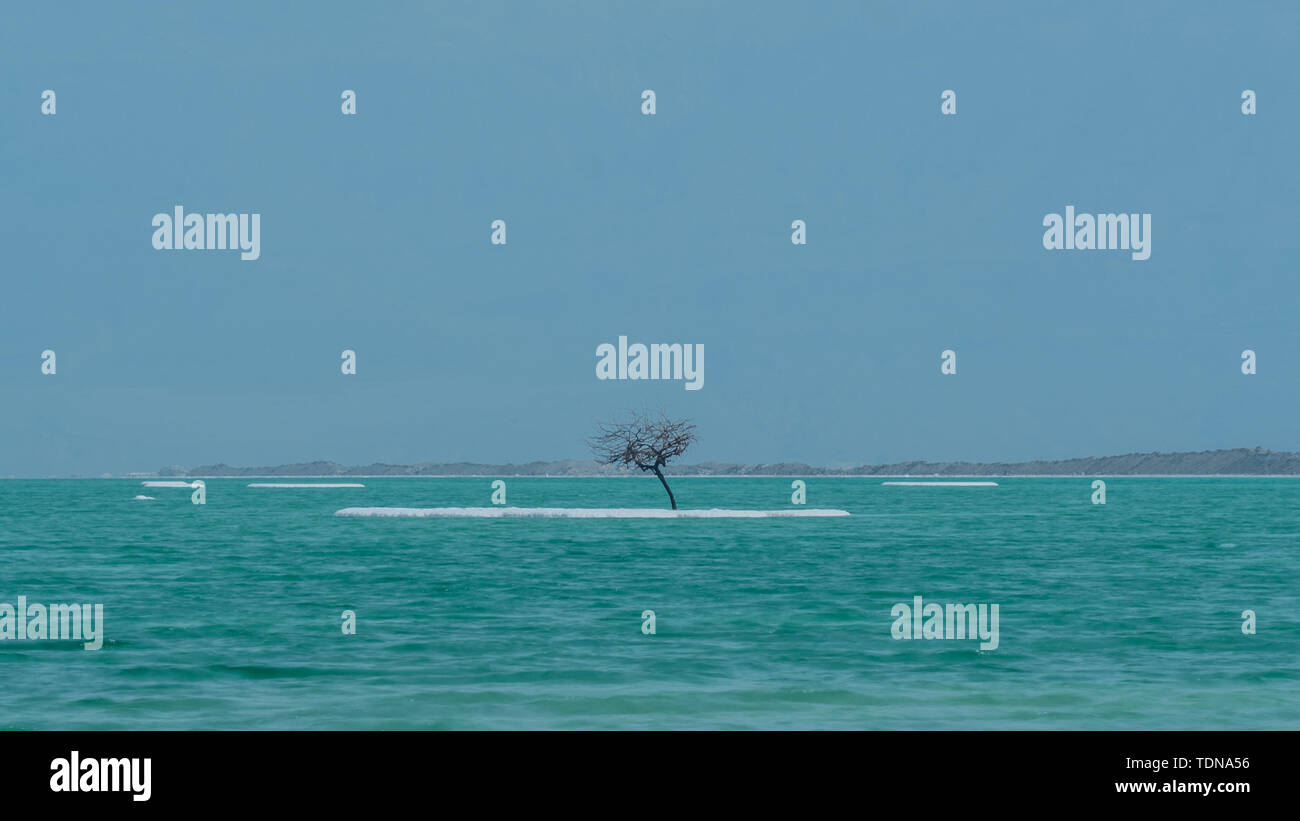 Dead Sea shore with salty beach Stock Photo - Alamy