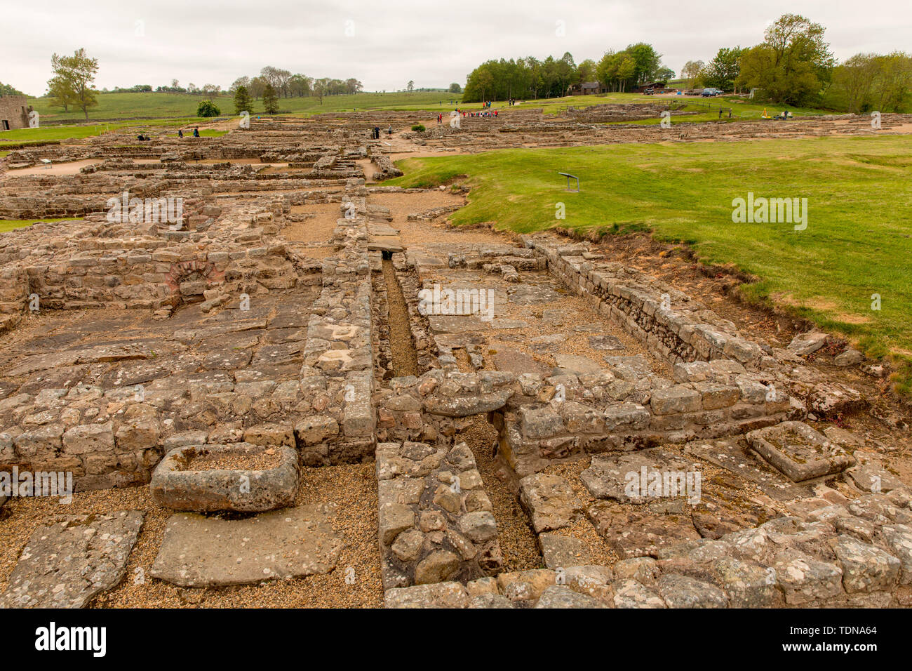 Archaeology site vindolanda hi-res stock photography and images - Alamy