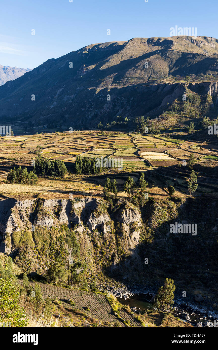 Terrace farm peru hi-res stock photography and images - Alamy