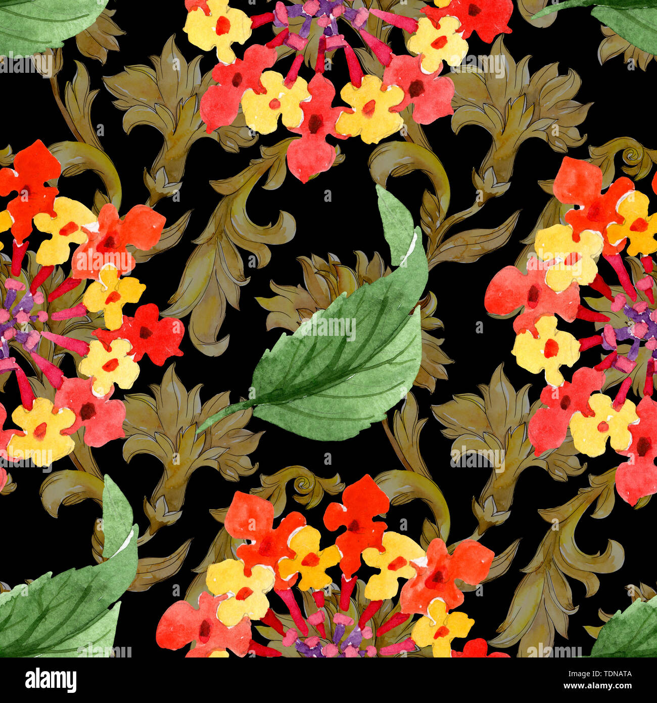 Red lantana floral botanical flowers. Wild spring leaf wildflower ...