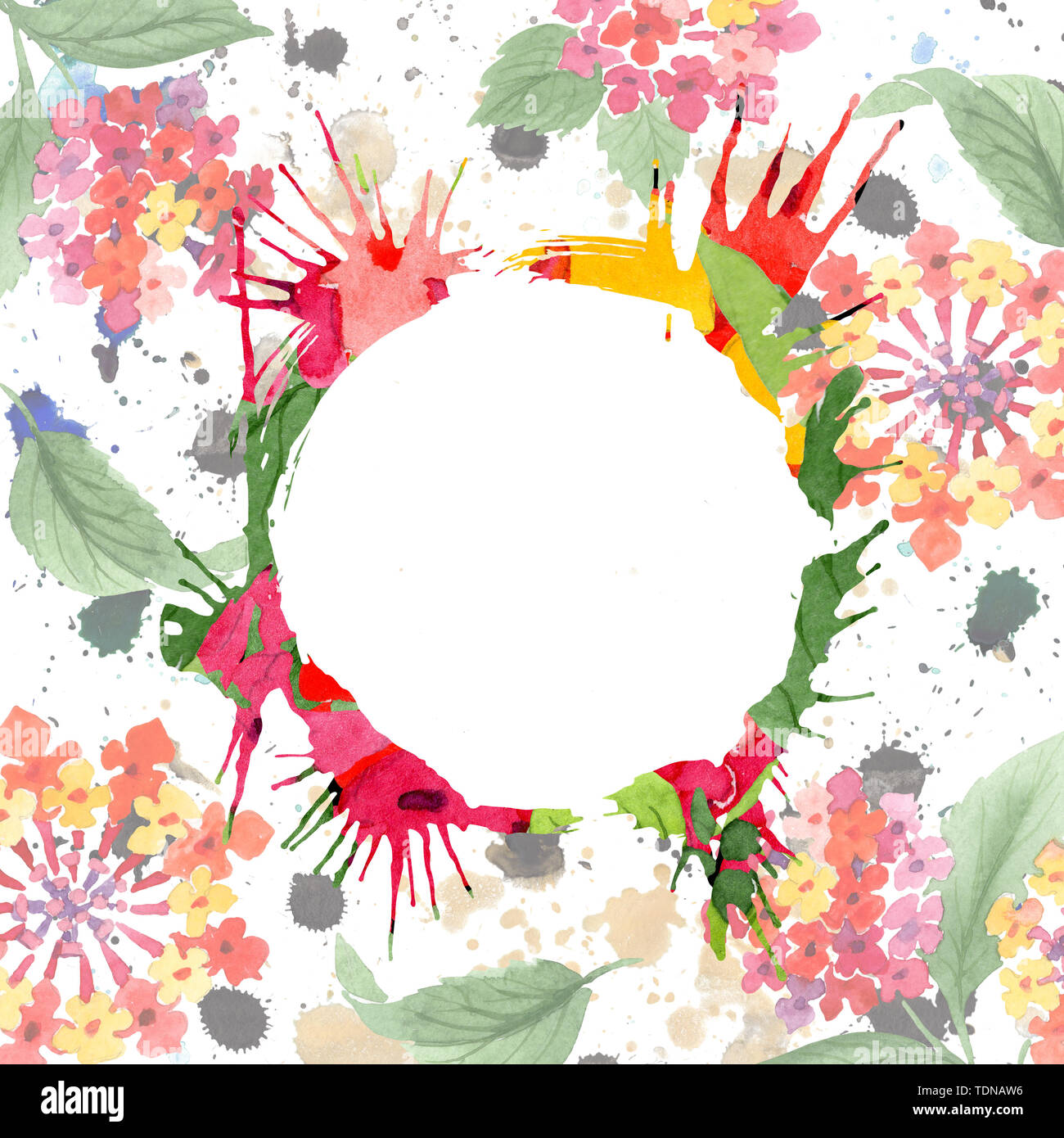 Red lantana floral botanical flowers. Wild spring leaf wildflower ...