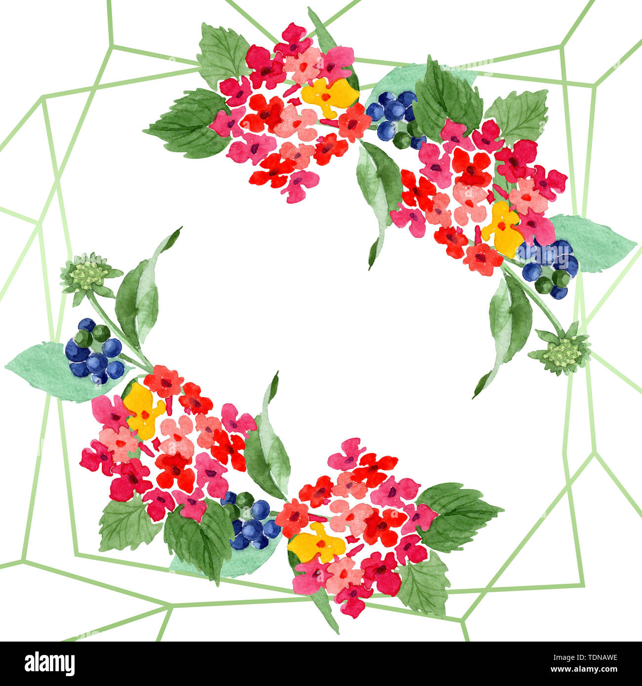 Red lantana floral botanical flowers. Wild spring leaf wildflower ...