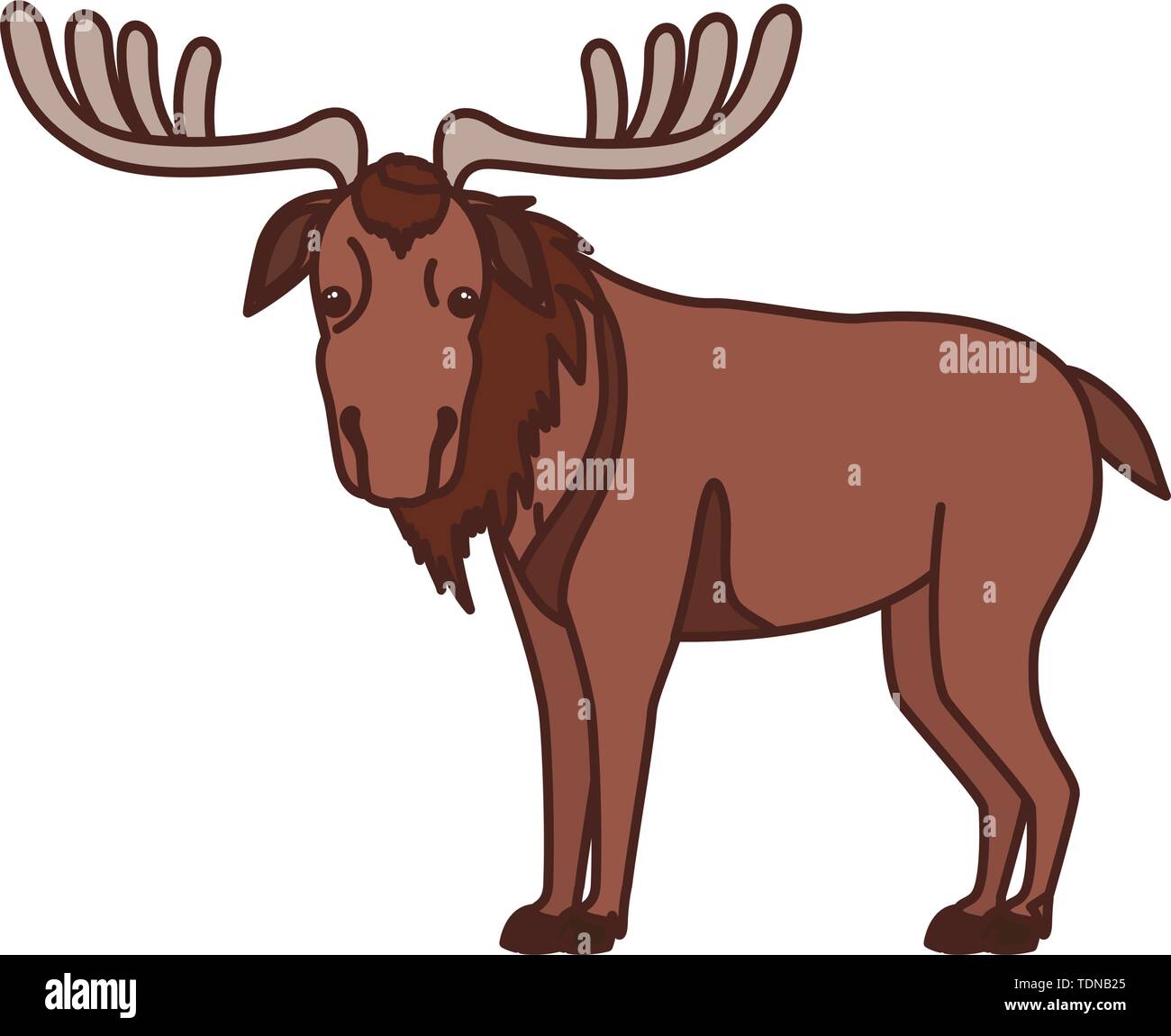 Moose forest animal of canada design Stock Vector Image & Art - Alamy