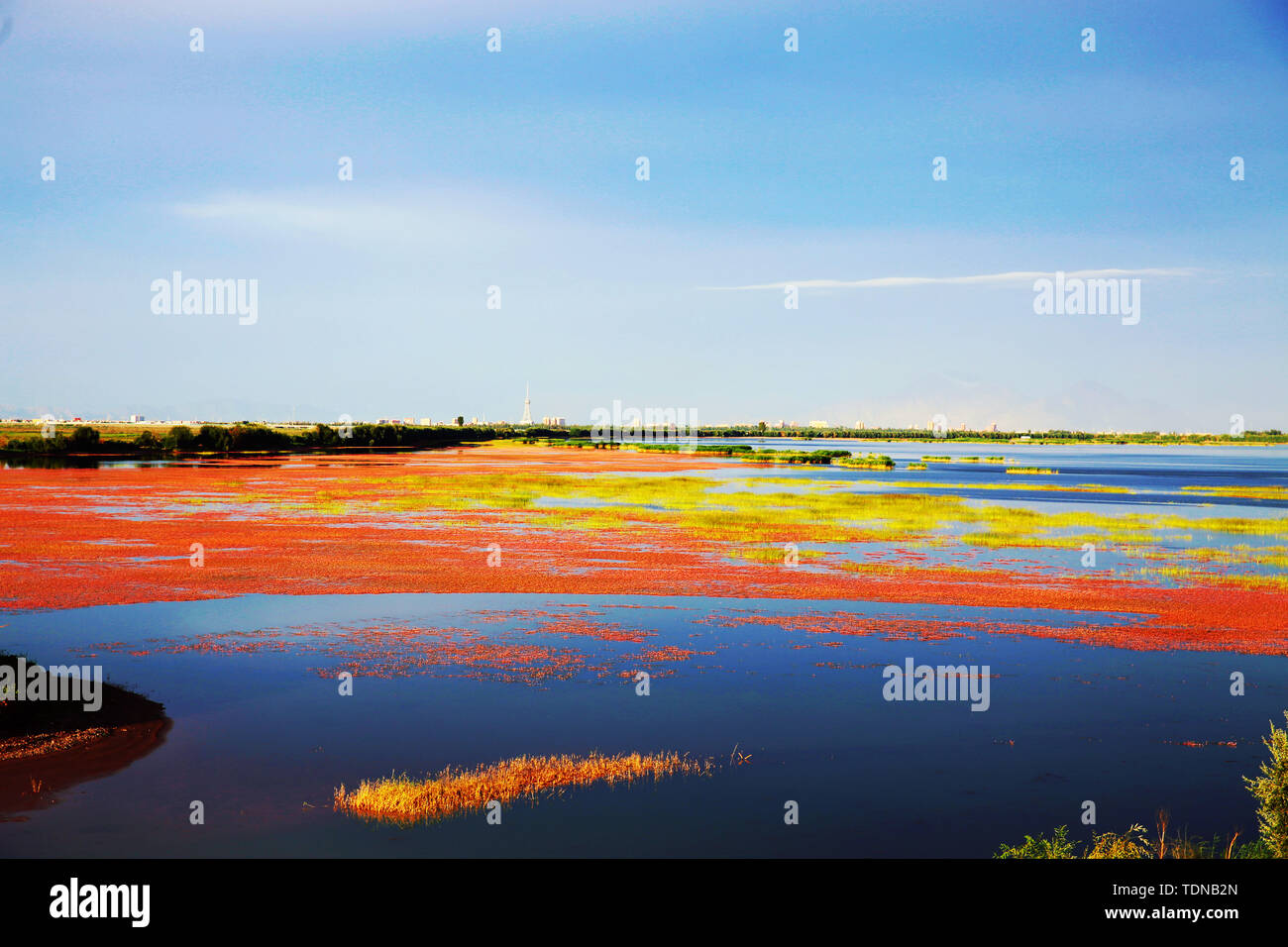Red Sea Scenic Area Stock Photo - Alamy