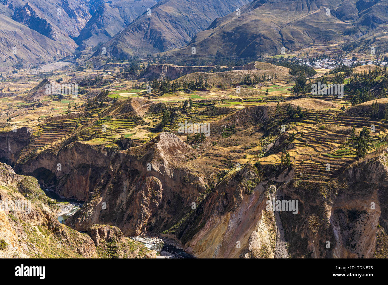 Agricultural Terraces In The Colca Canyon Valley Viewed From The Agricultural Terraces In The Colca Canyon Valley Viewed From The