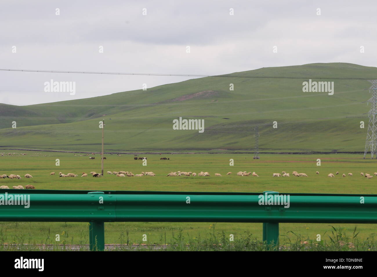 Erguna river erguna river wetland hi-res stock photography and images ...
