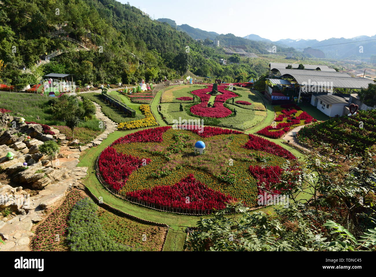 Flower sea scenery Stock Photo - Alamy