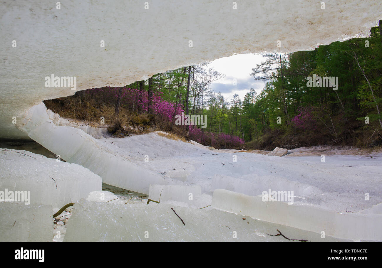 Tear through hi-res stock photography and images - Alamy