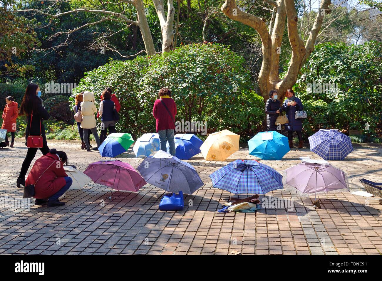 People's Park blind date corner Stock Photo - Alamy