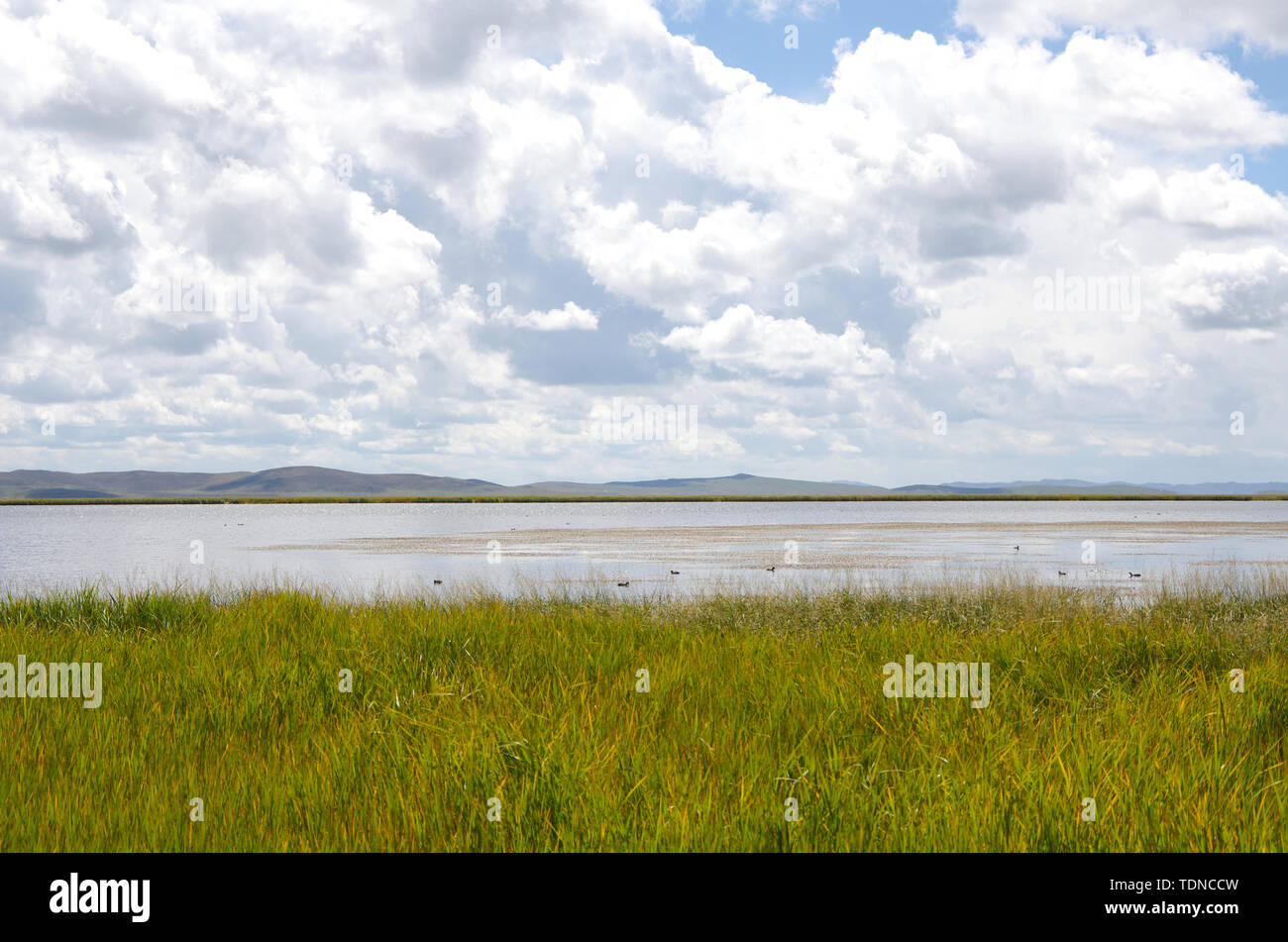 Hua aba prefecture hi-res stock photography and images - Alamy