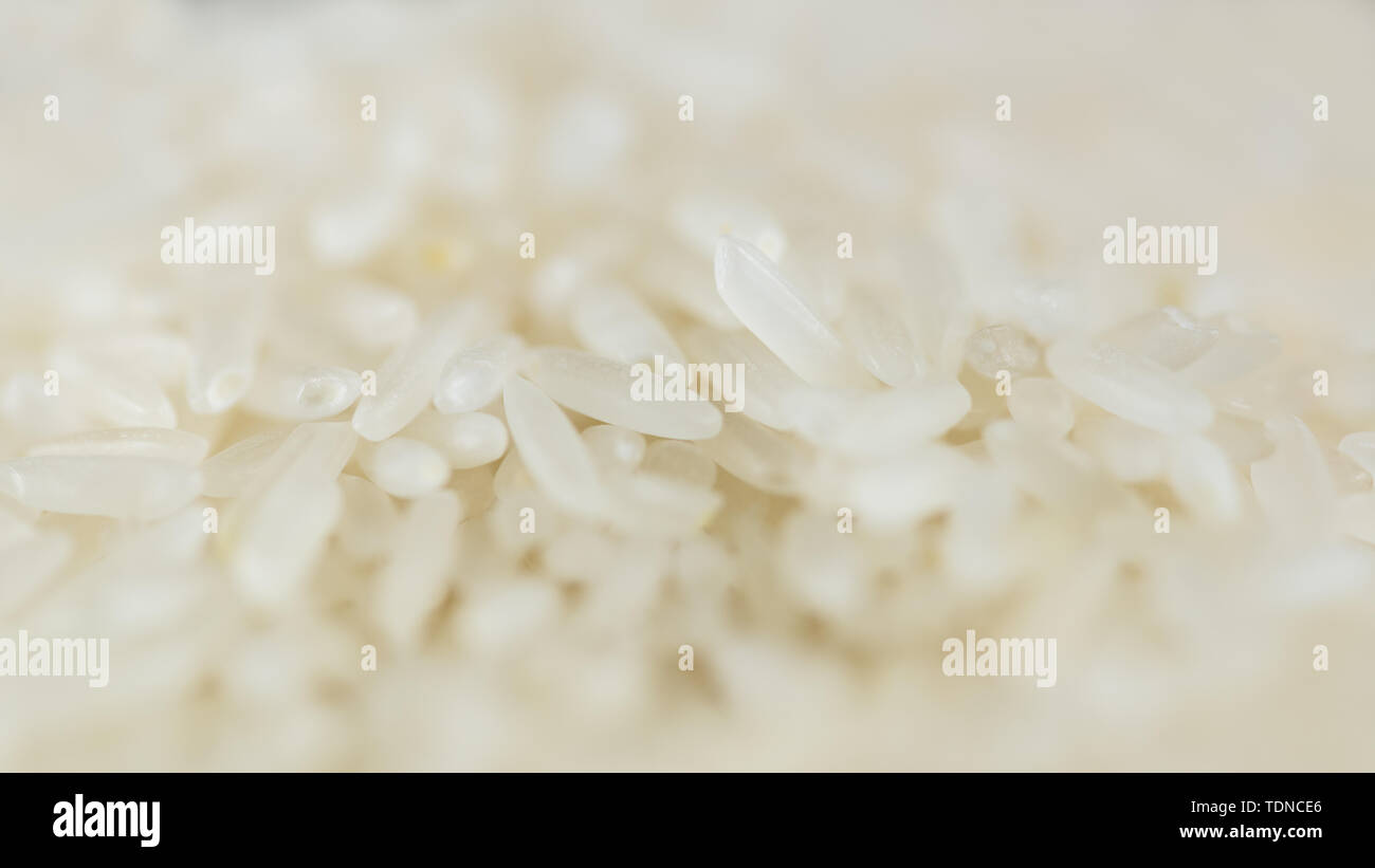Silk seedling rice, rice, rice Stock Photo - Alamy