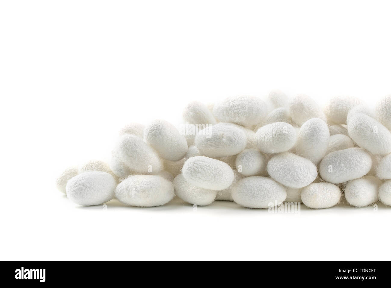 Smooth cocoon hi-res stock photography and images - Alamy