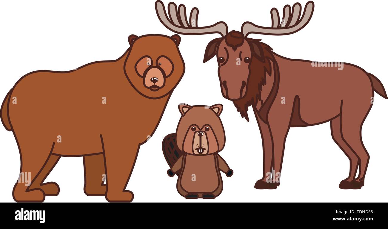 Beaver bear and moose animal of canada design Stock Vector Image & Art ...