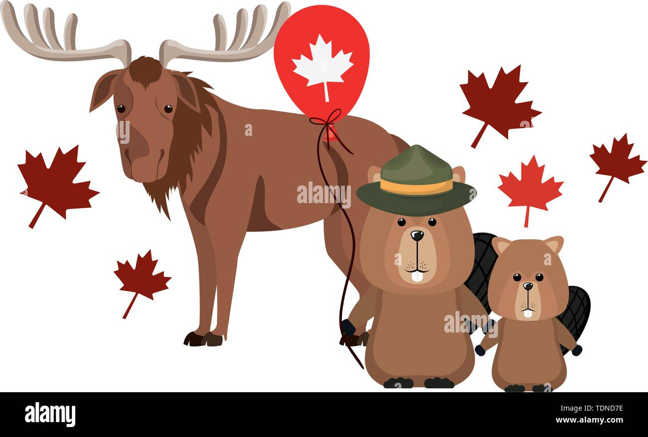 Beaver and moose animal of canada design Stock Vector Image & Art - Alamy