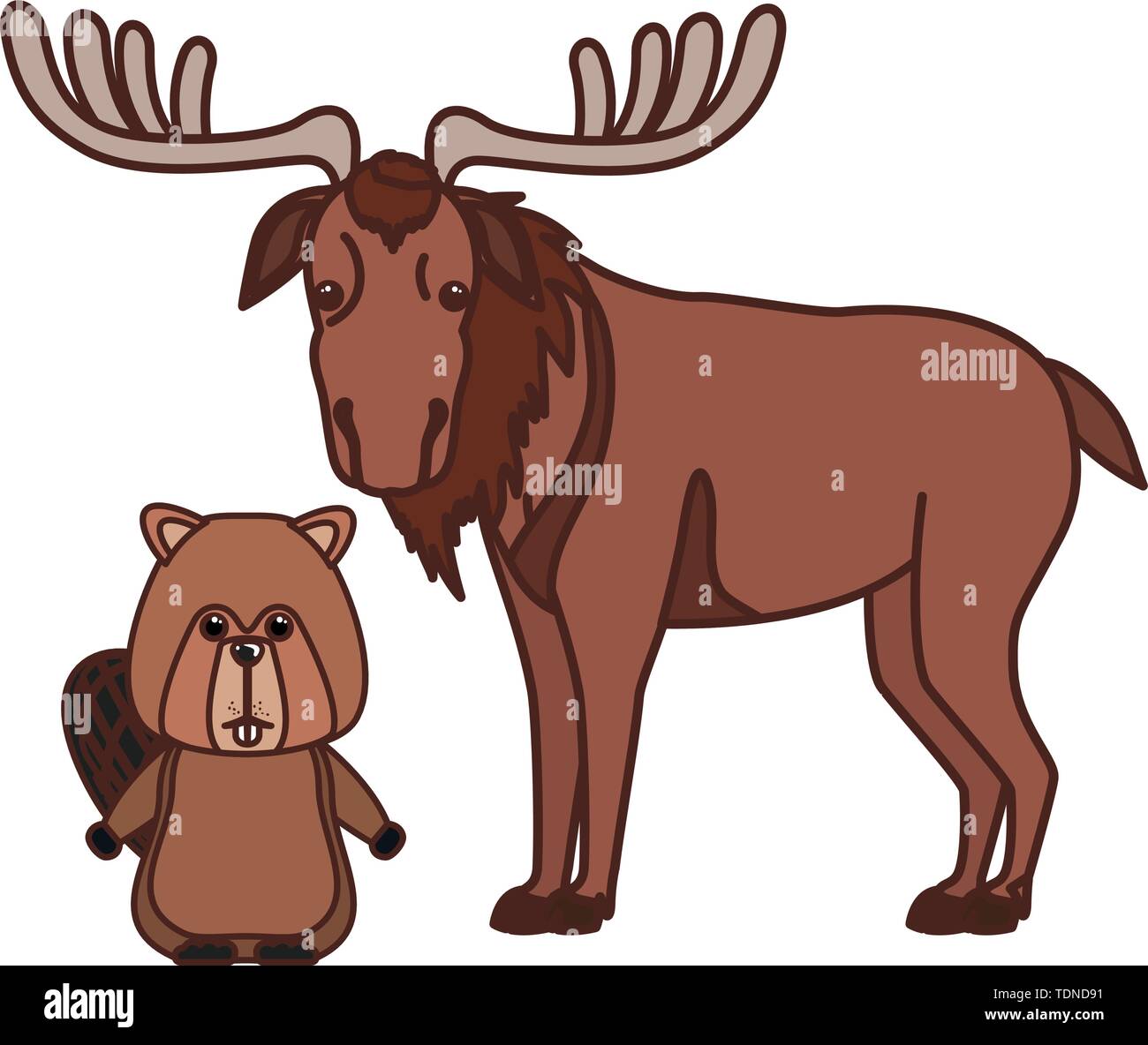 Beaver and moose animal of canada design Stock Vector Image & Art - Alamy